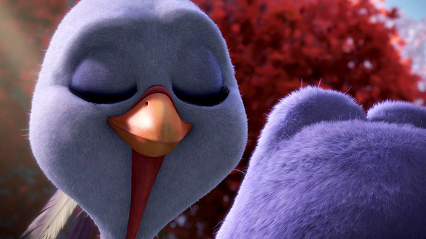 Free Birds (2013) on TV | Channels and schedules | TV24.co.uk